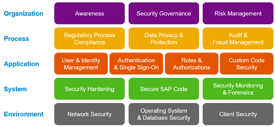 SAP Cyber Security: What Is It? Why is Managing SoD Insufficient?