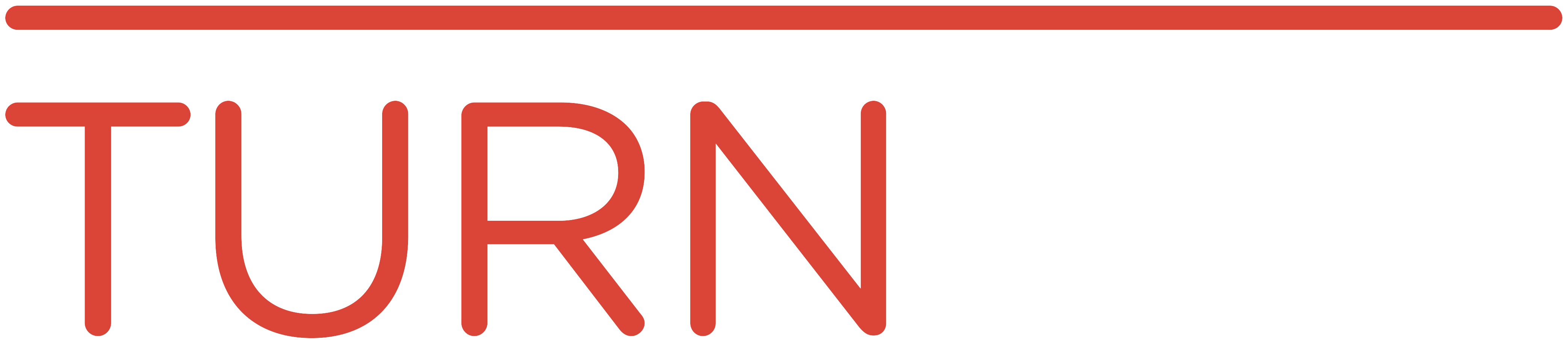 Risk, Identity & Security Specialists - Turnkey Consulting